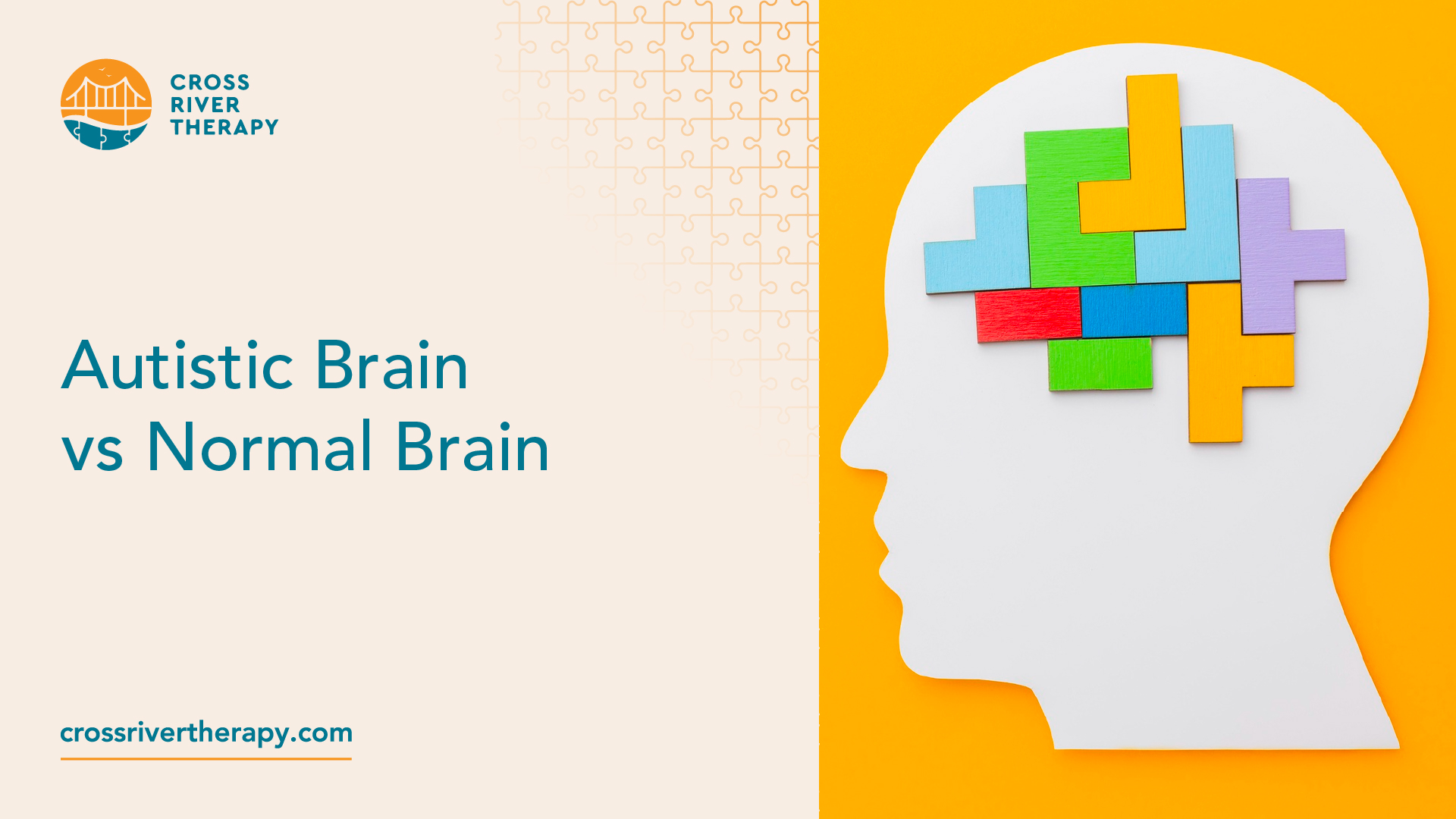 Autistic Brain Vs Normal Brain